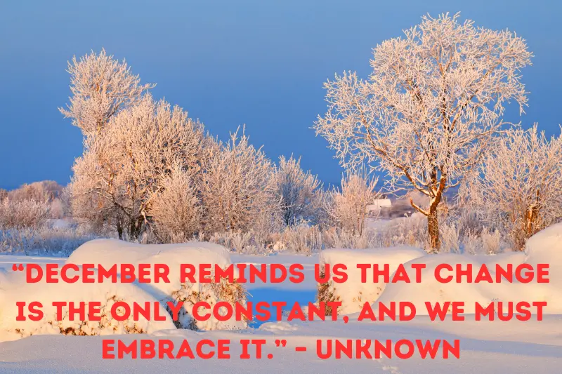 95+ Powerful December Motivational Quotes To Finish Strong